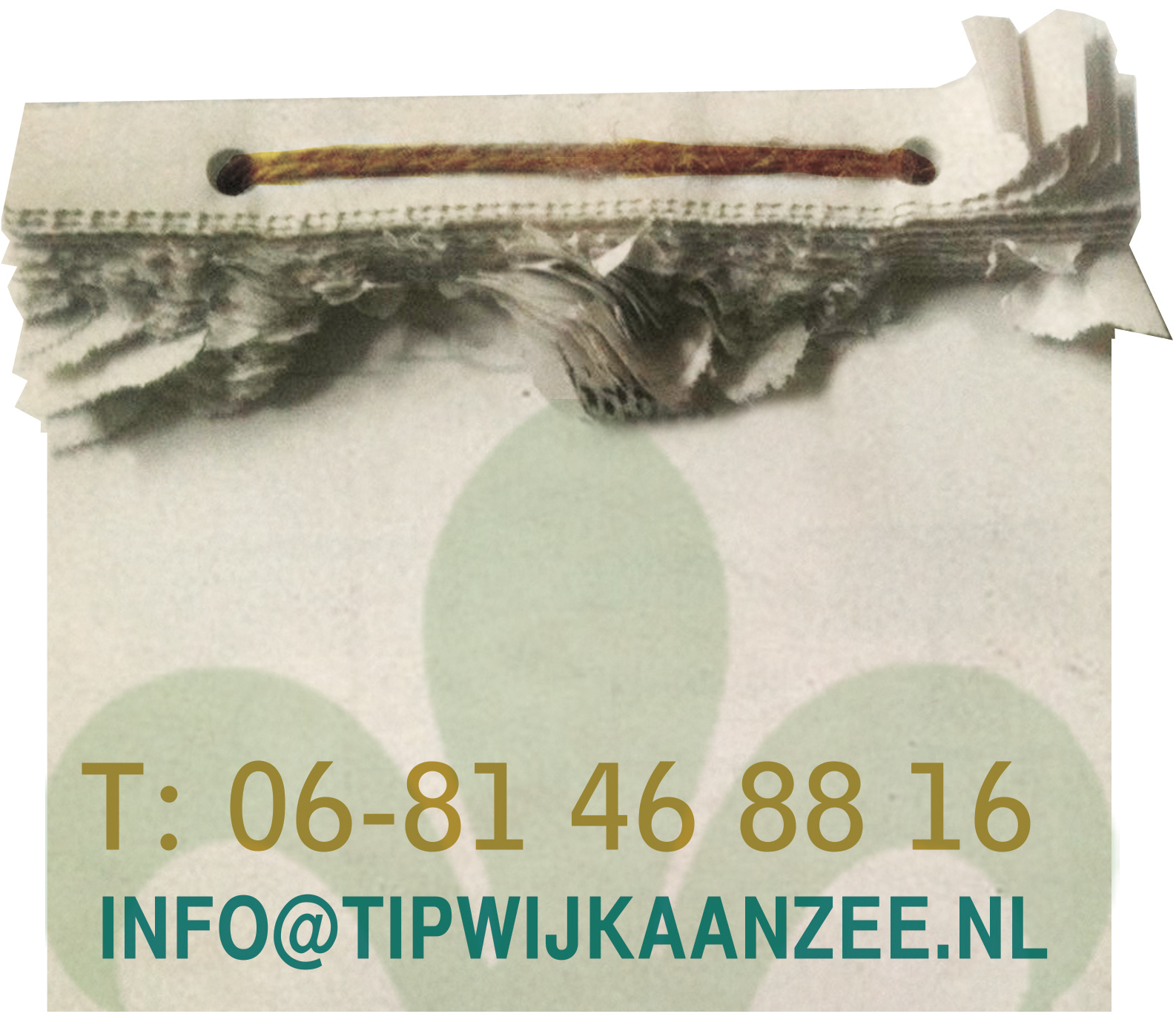 Timboektoe – Tip Wijk aan Zee